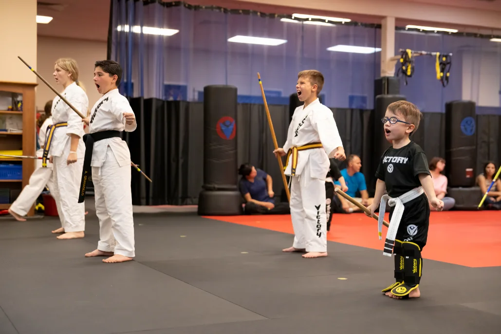 Find the Best Martial Arts Dojo for Kids in Lee's Summit, MO | Victory ...